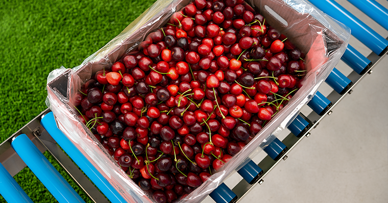 Cherry packaging - Niverplast NA Inc.